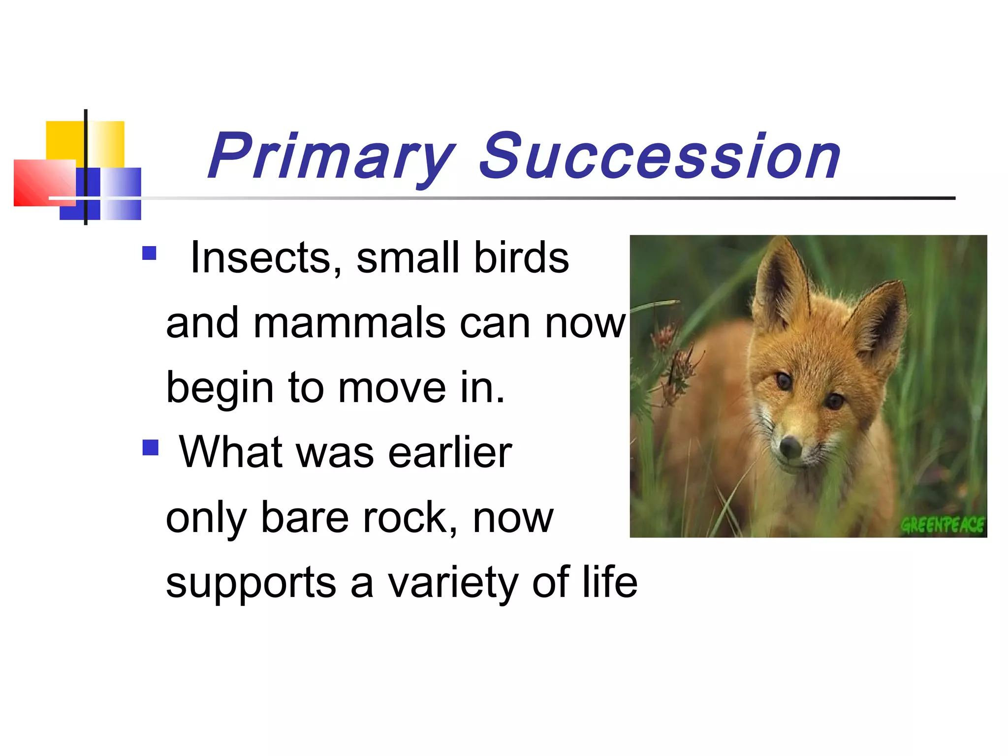 Ecological succession | PPT