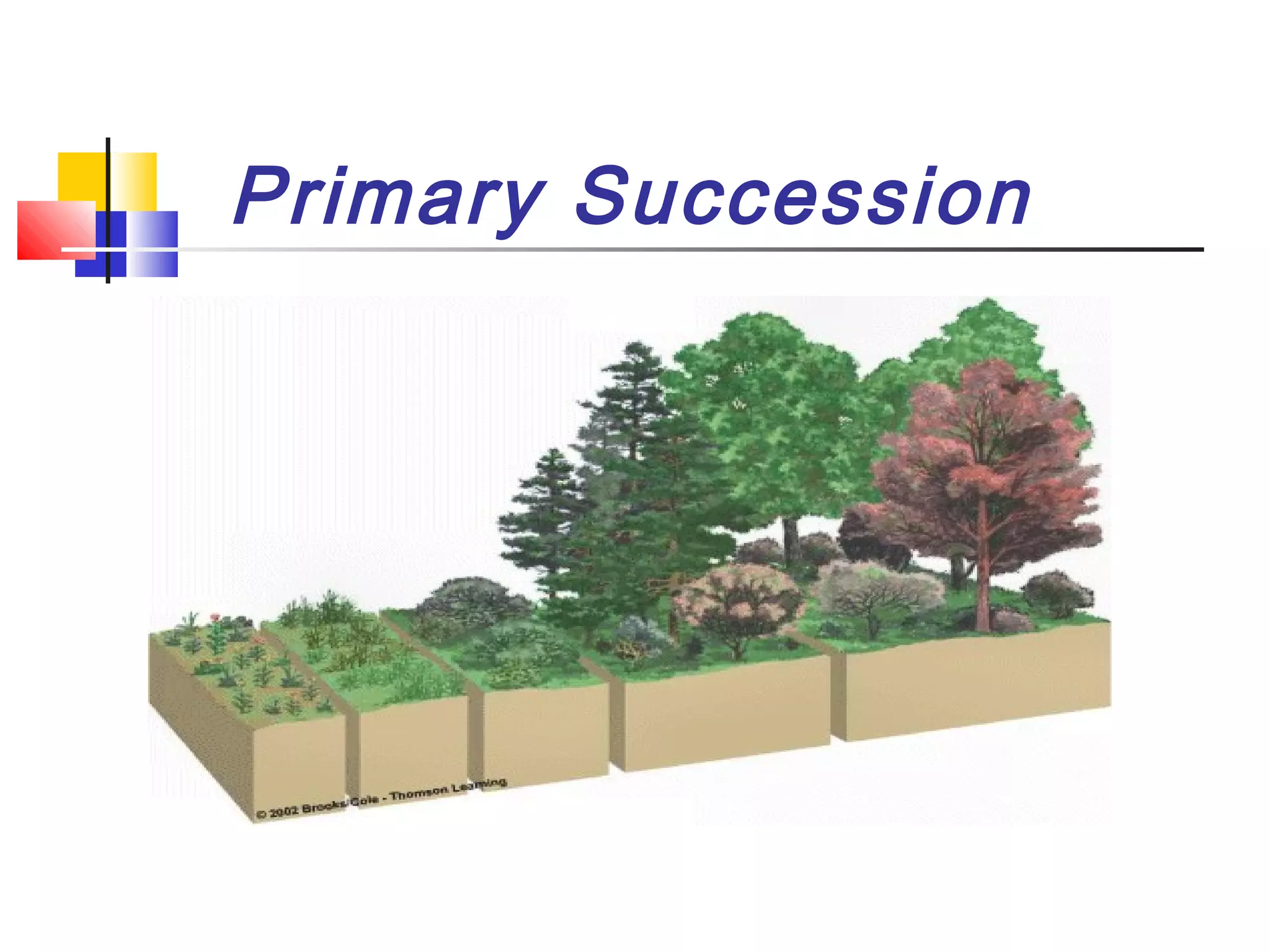 Ecological succession | PPT
