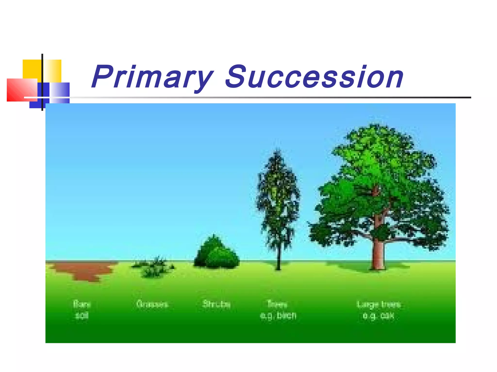 Ecological succession | PPT