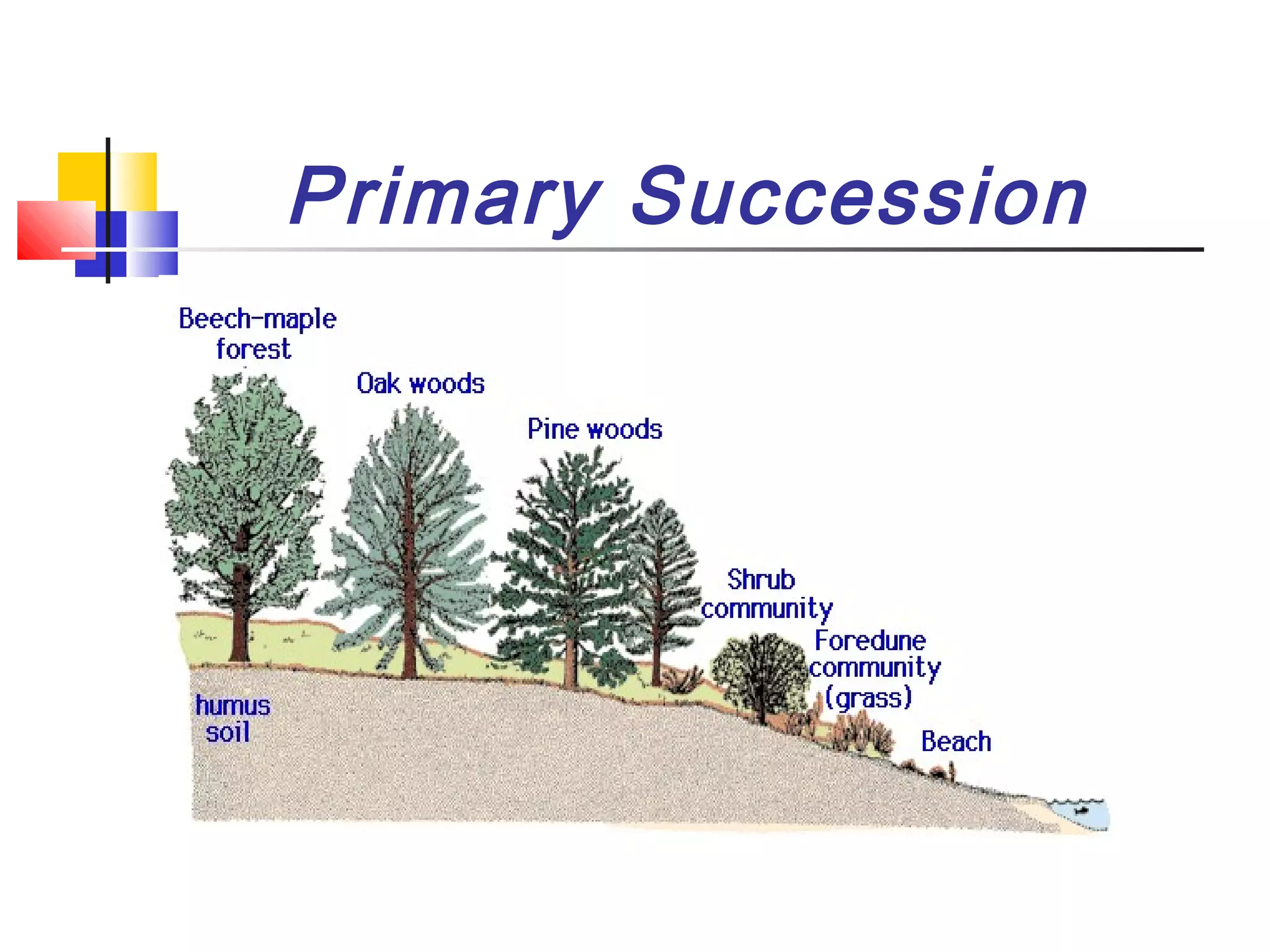 Ecological succession | PPT
