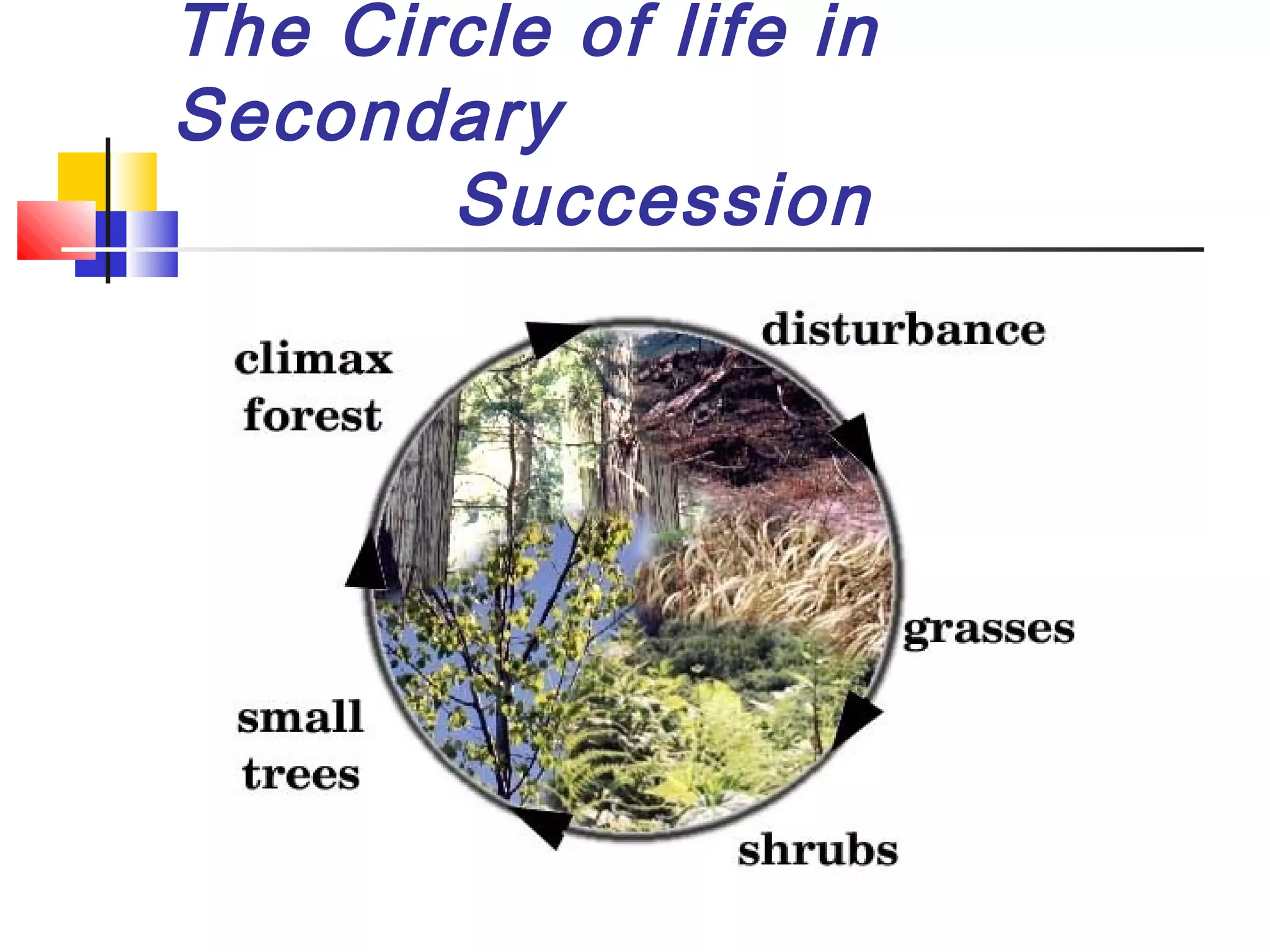 Ecological succession | PPT