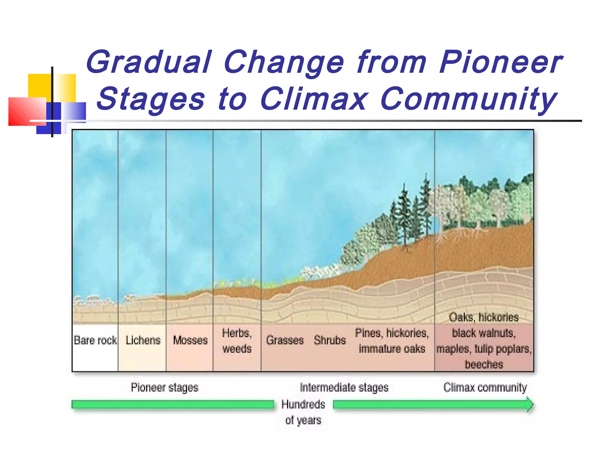 Ecological succession | PPT