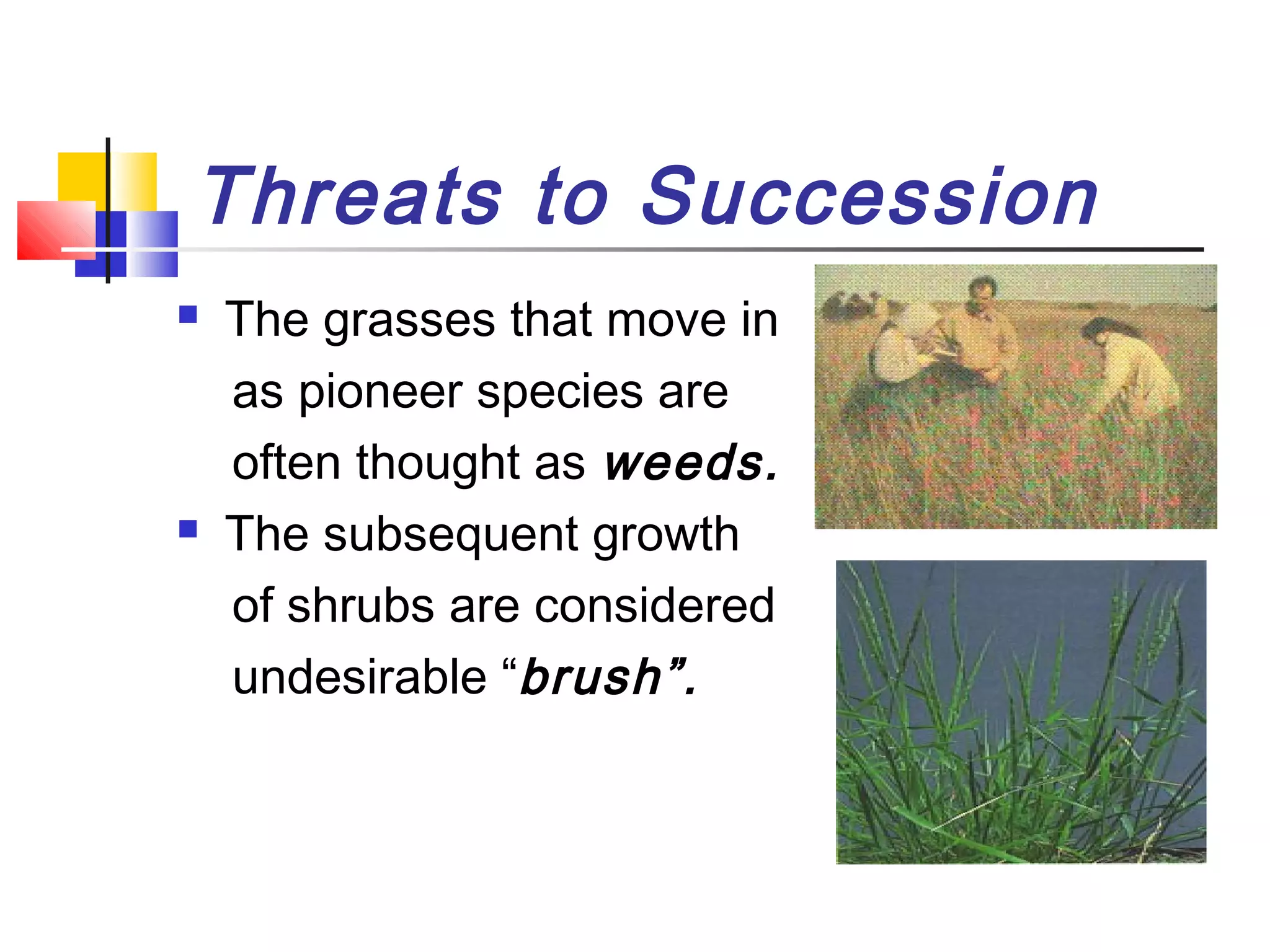 Ecological succession | PPT