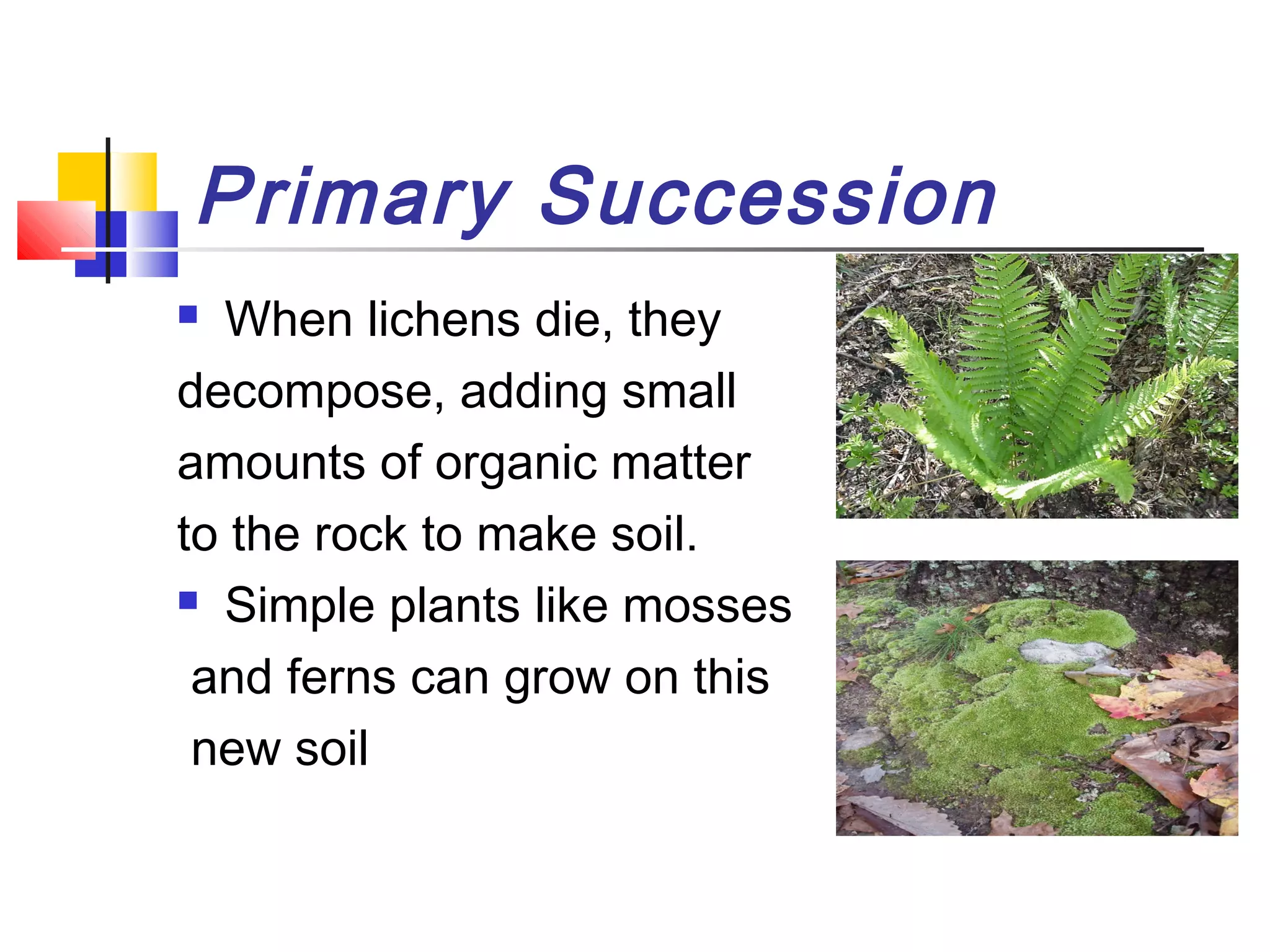 Ecological succession | PPT