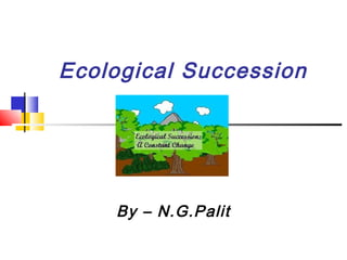 Ecological Succession Diagram