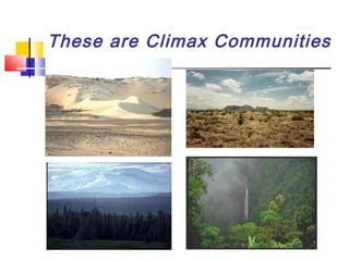 Climax Community Definition