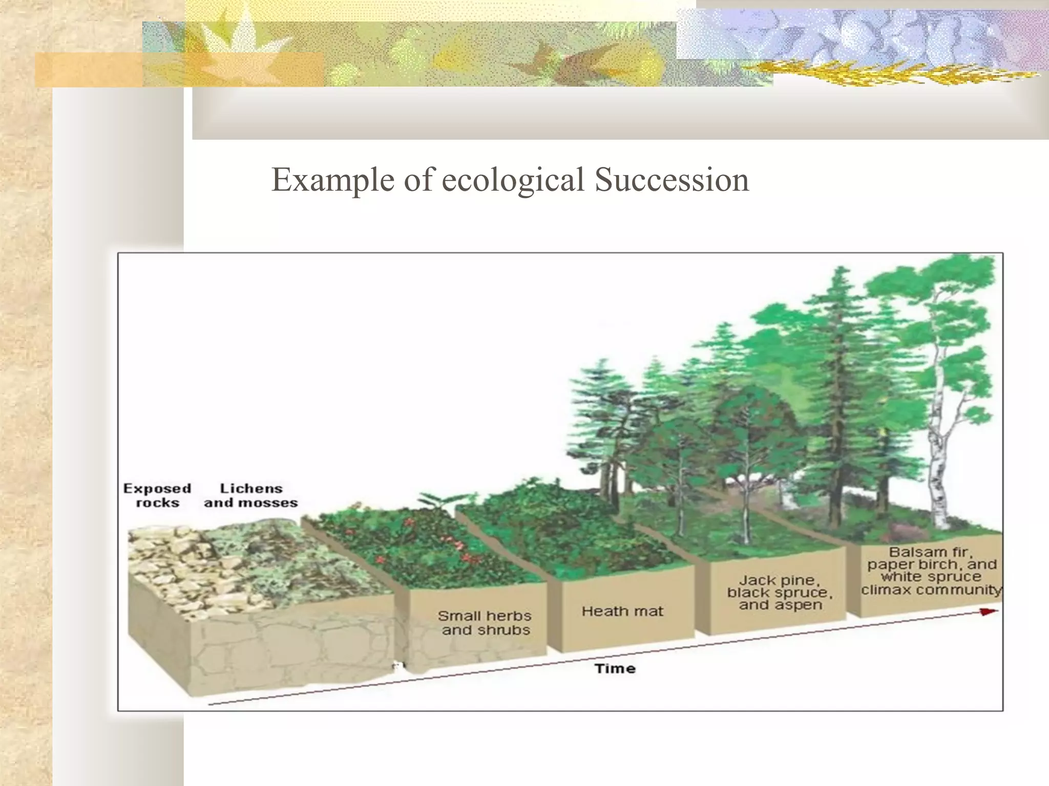 Ecological succession | PPT