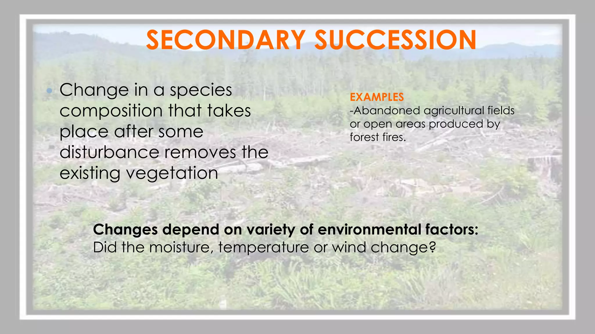 Ecological succession | PPTX | Biological Sciences | Science