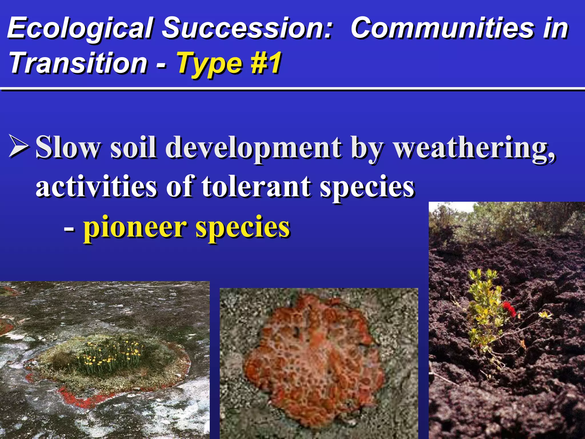Ecological succession | PPTX