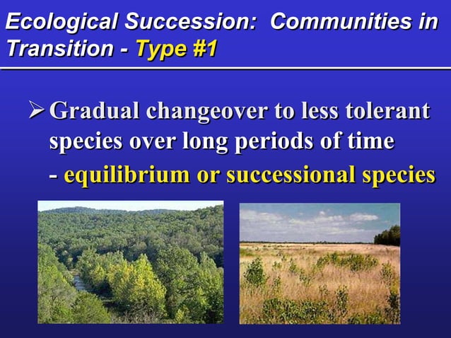 Ecological succession | PPT