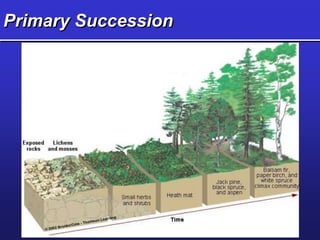 Ecological succession | PPTX