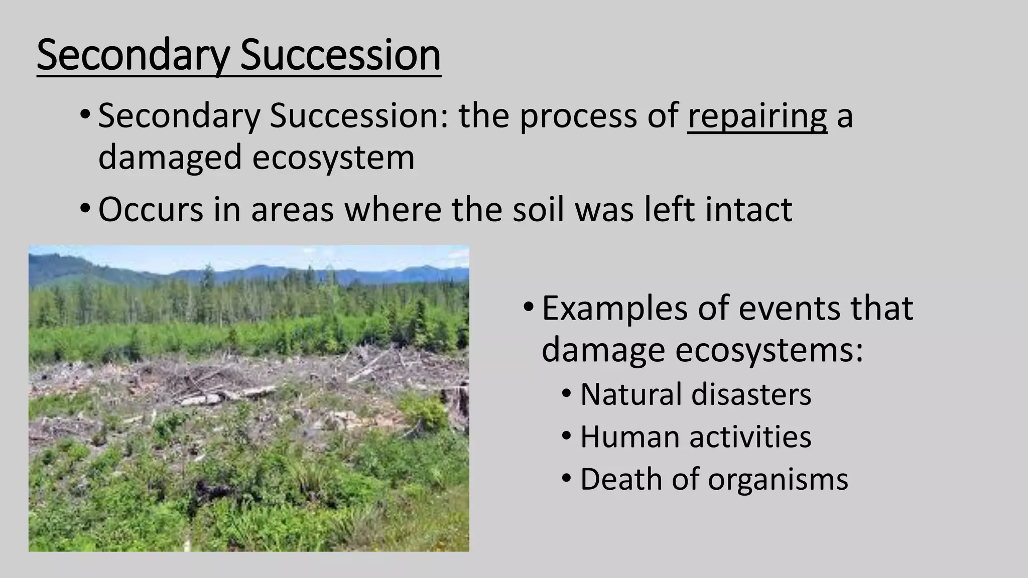Ecological succession | PDF