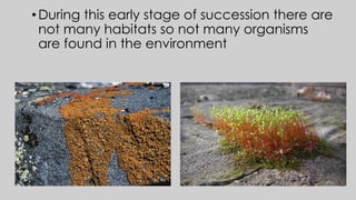 Ecological succession | PDF