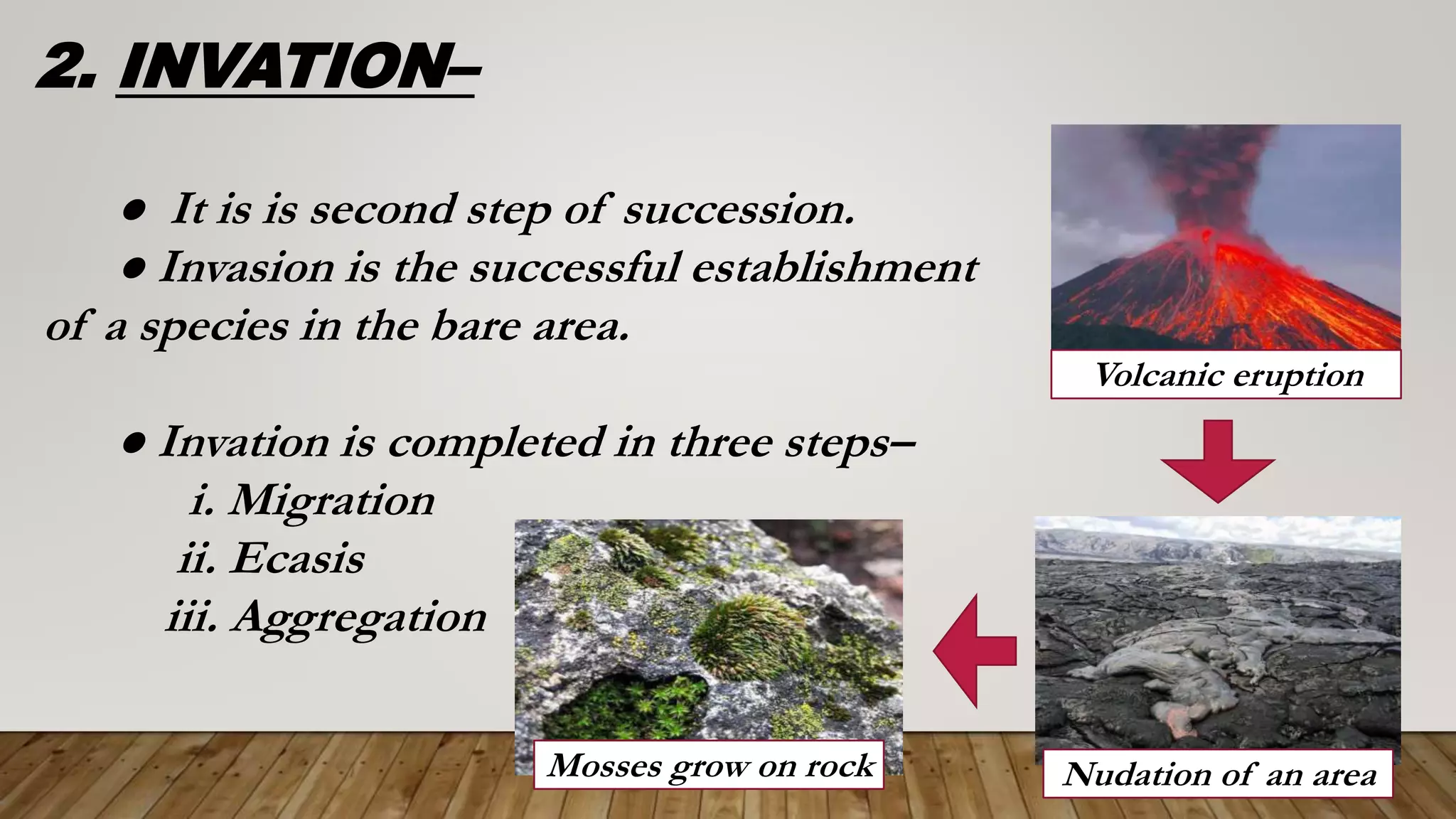 Ecological succession | PPTX