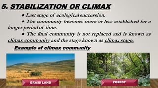 Ecological succession | PPTX