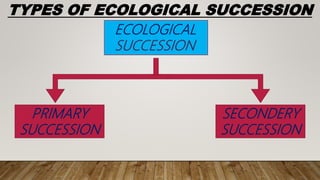 Ecological succession | PPTX