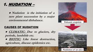 Ecological succession | PPTX