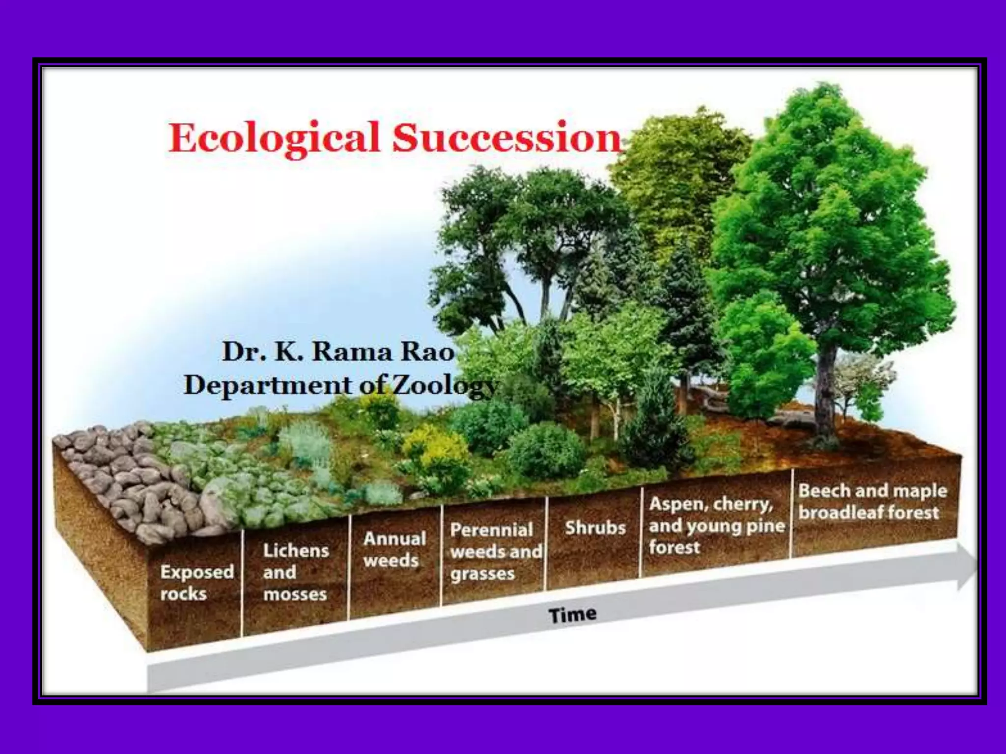 Ecological succession | PPT