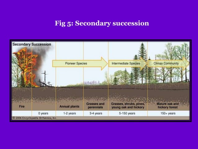 Ecological succession | PPT