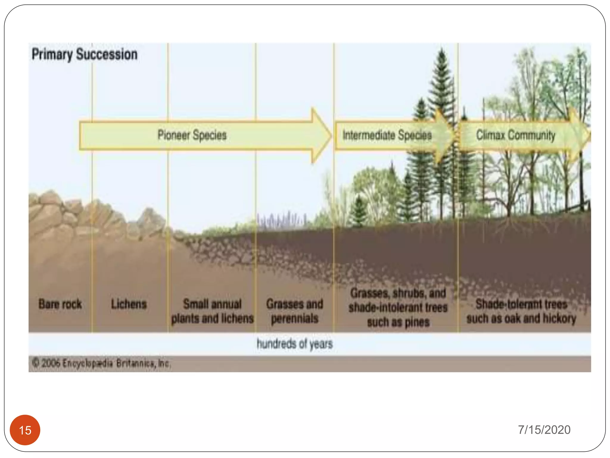 Ecological succession | PPTX