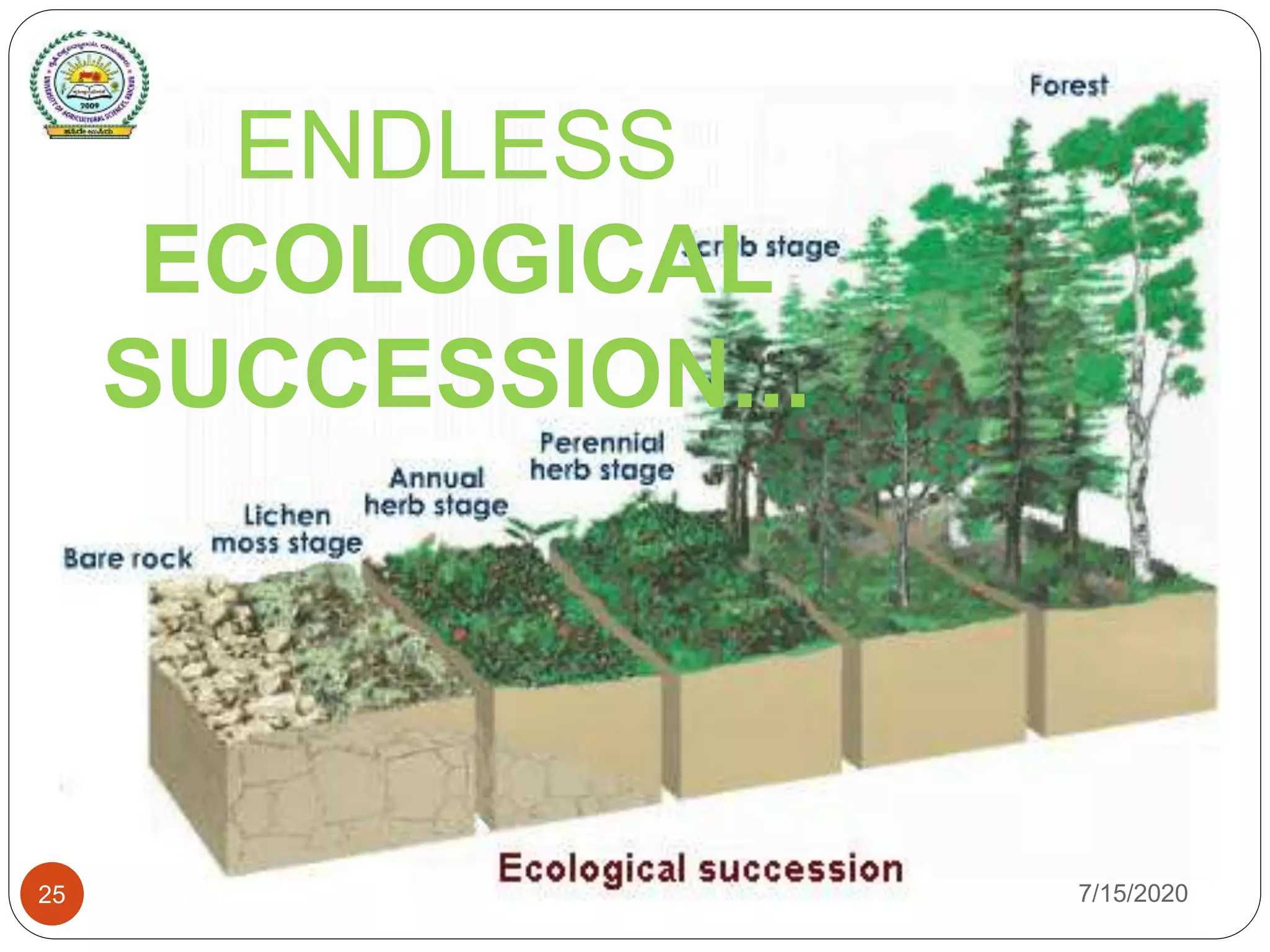 Ecological succession | PPTX