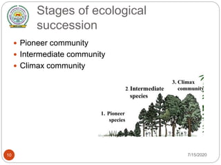 Ecological succession | PPTX