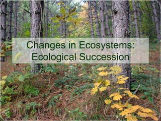 Ecological Succession.ppt
