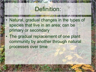 Ecological Succession.ppt