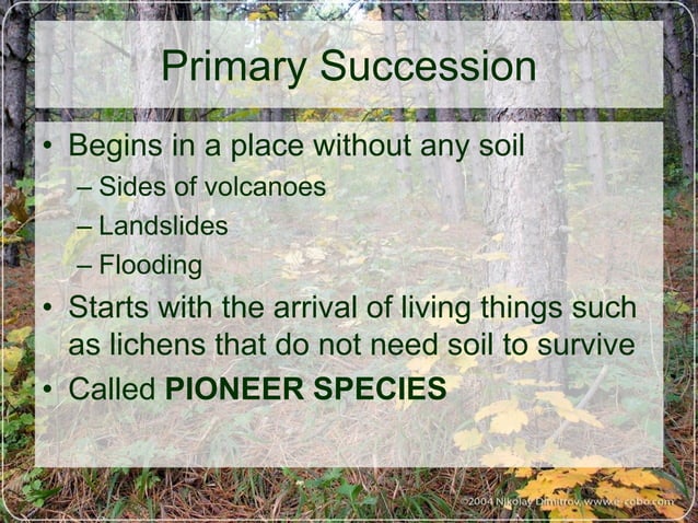 Ecological Succession.ppt
