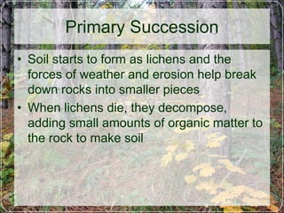 Ecological Succession.ppt