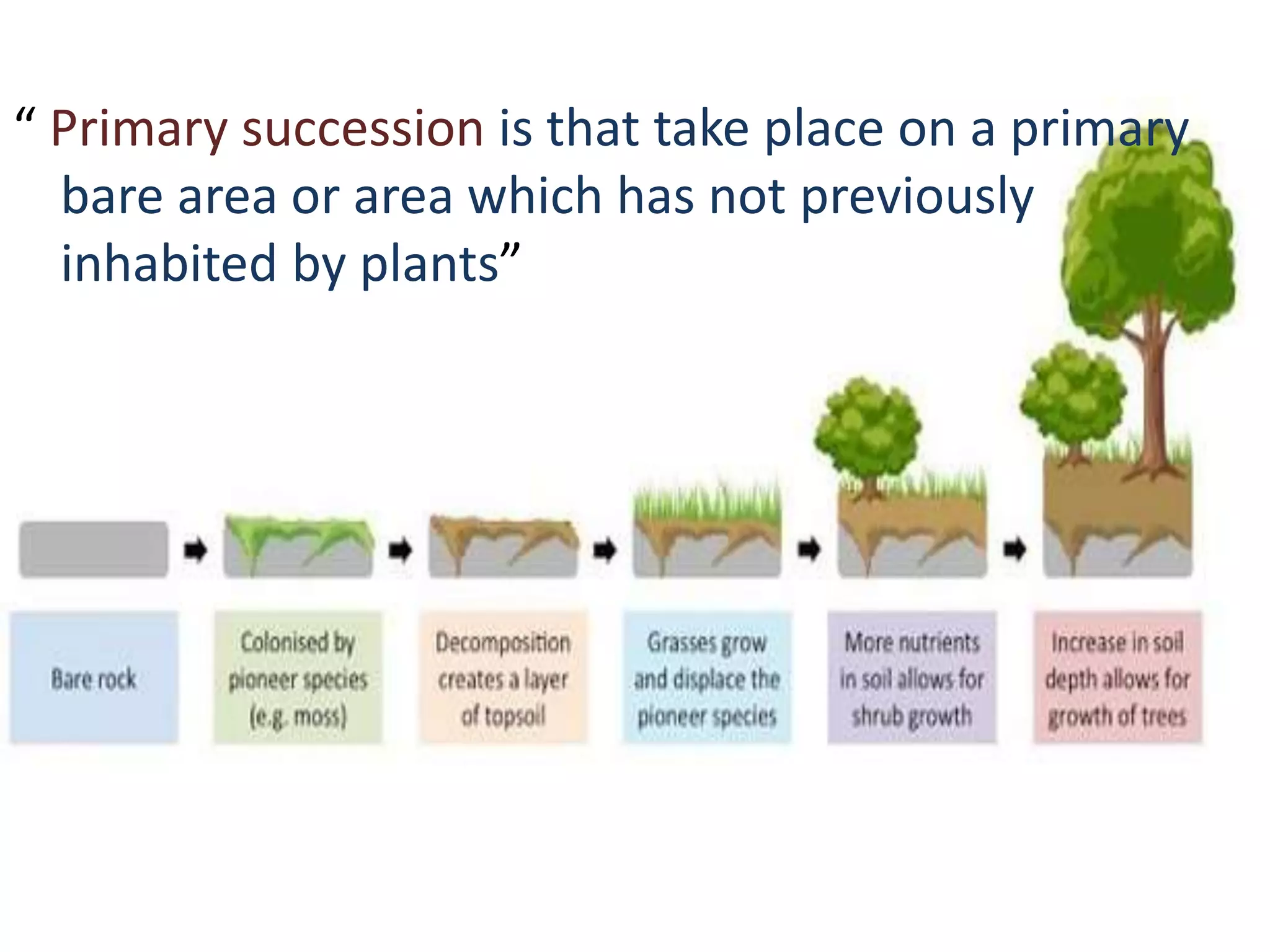 ecological succession.pptx
