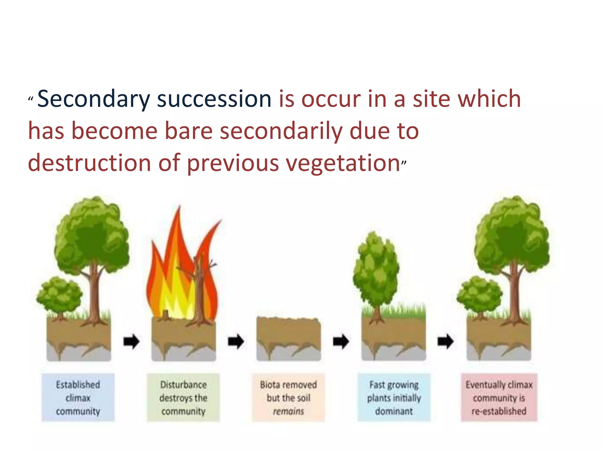 ecological succession.pptx