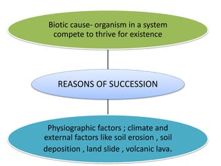 ecological succession.pptx