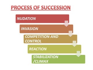 ecological succession.pptx