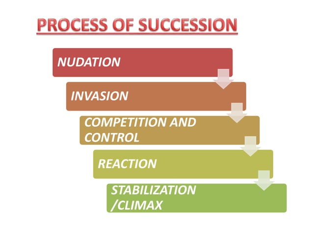 ecological succession.pptx