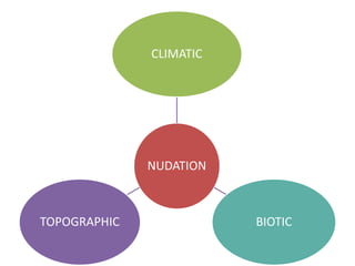 ecological succession.pptx