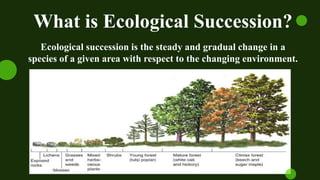 Ecological Succession. ( ECOSYSTEM, B. Pharmacy, 1st Year, Sem-II ...