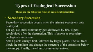 Ecological Succession. ( ECOSYSTEM, B. Pharmacy, 1st Year, Sem-II ...