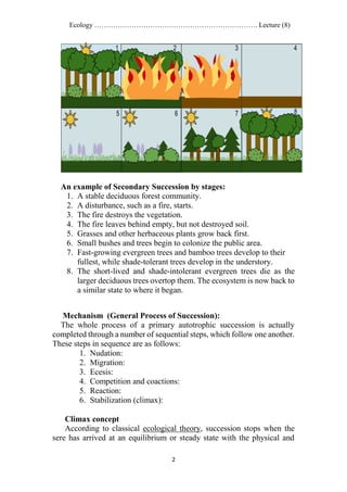 ECOLOGICAL SUCCESSION IN ENVIRONMENT.pdf