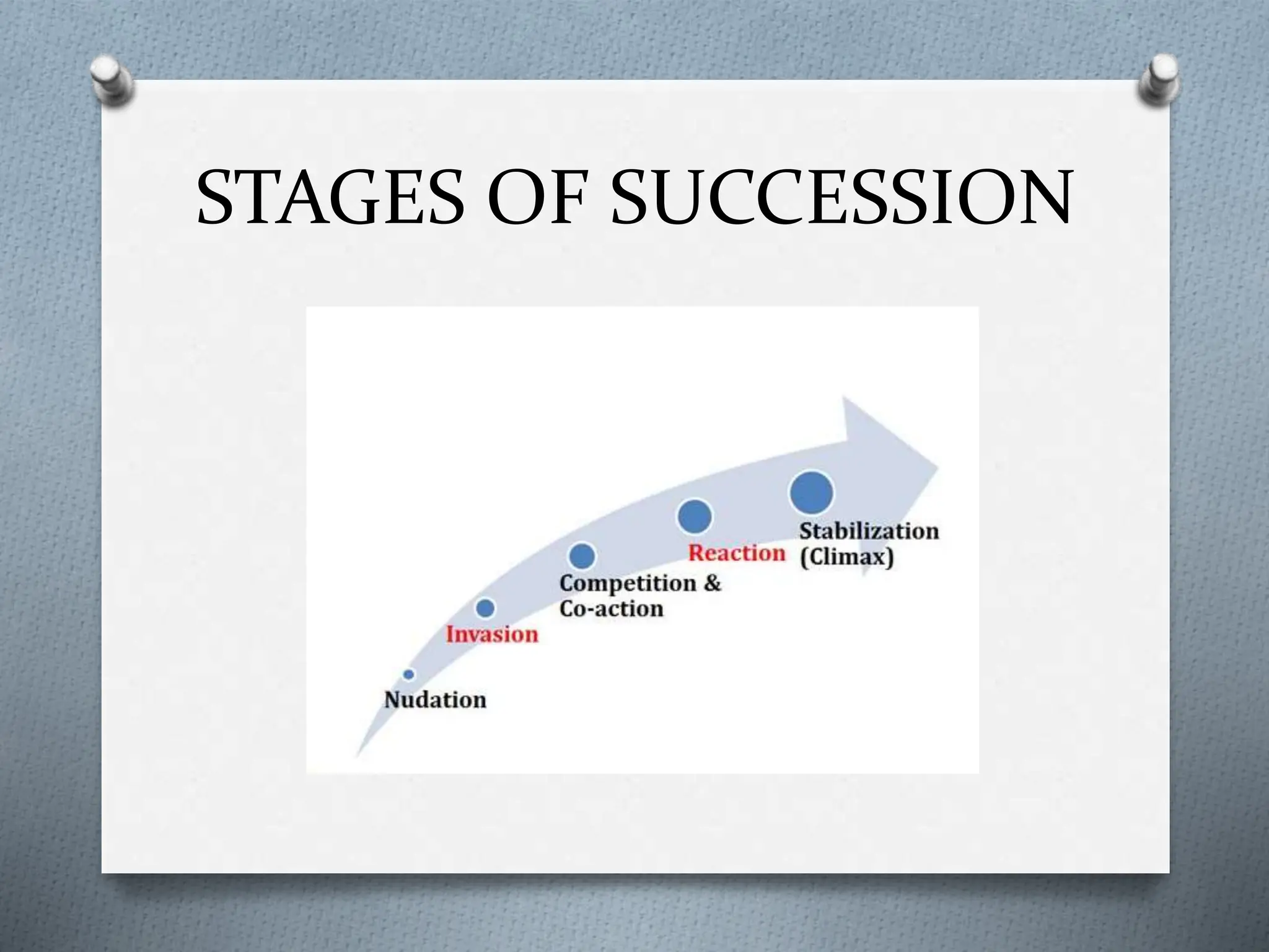 MECHANISM OF ECOLOGICAL SUCCESSION.pptx