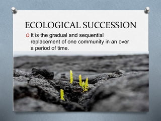 MECHANISM OF ECOLOGICAL SUCCESSION.pptx