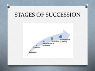 MECHANISM OF ECOLOGICAL SUCCESSION.pptx