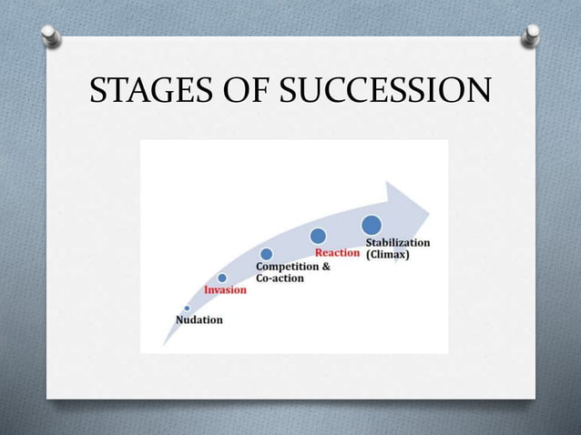 MECHANISM OF ECOLOGICAL SUCCESSION.pptx