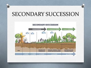 MECHANISM OF ECOLOGICAL SUCCESSION.pptx