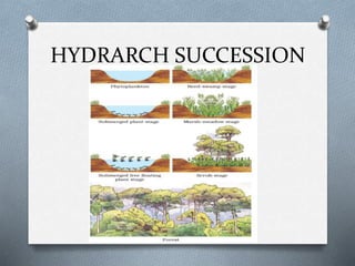 MECHANISM OF ECOLOGICAL SUCCESSION.pptx