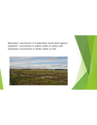 ecological succession Types , mechanism,communities | PDF