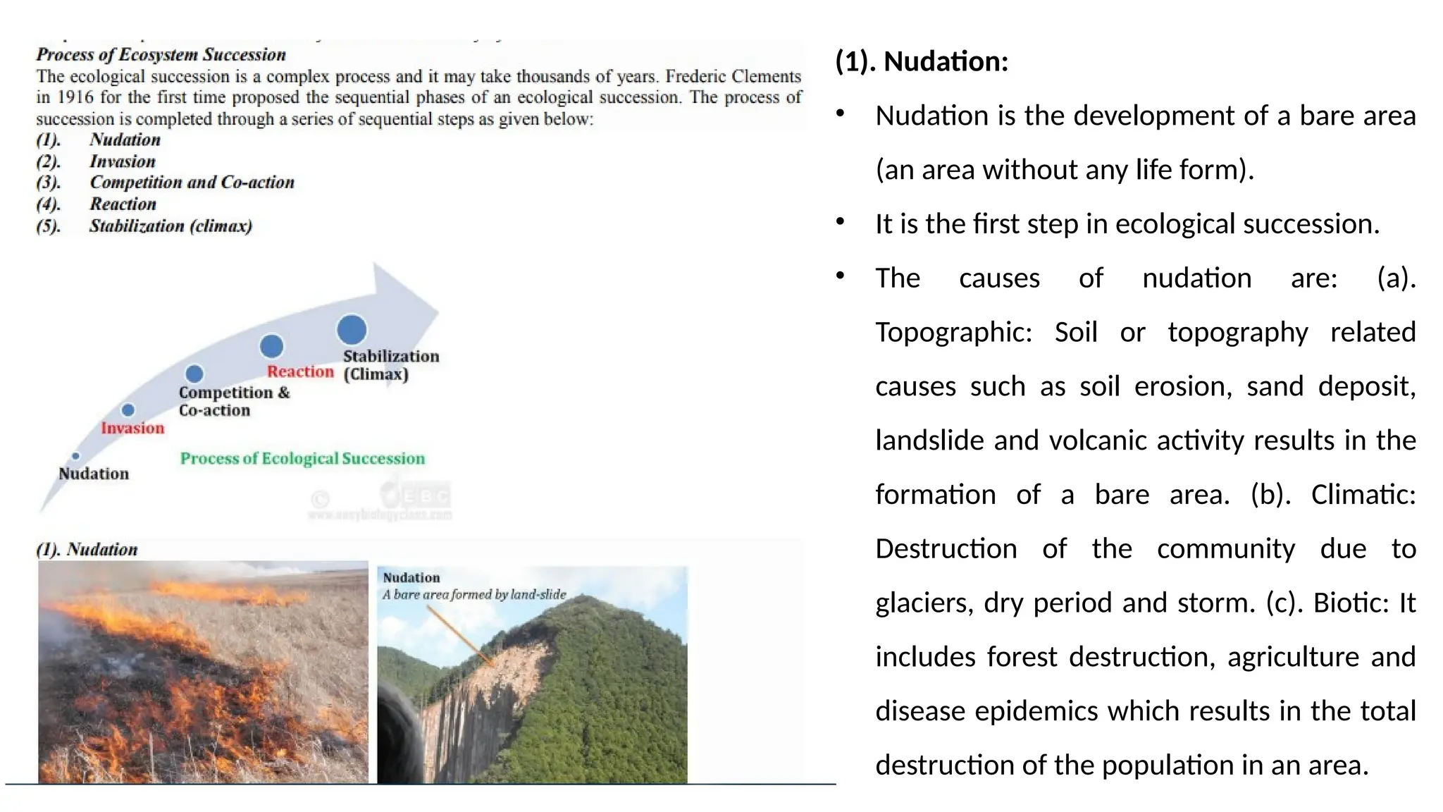 Ecological succession , introduction, ecological succession | PPTX