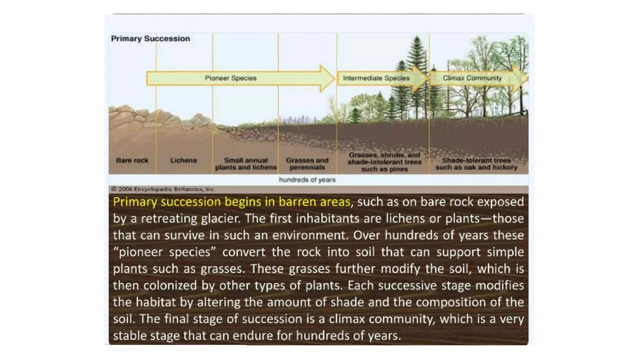 Ecological succession , introduction, ecological succession | PPTX