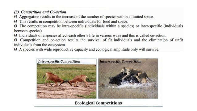 Ecological succession , introduction, ecological succession | PPTX