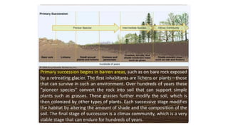 Ecological succession , introduction, ecological succession | PPTX